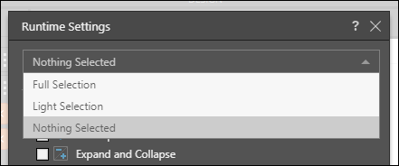 Present Runtime Settings